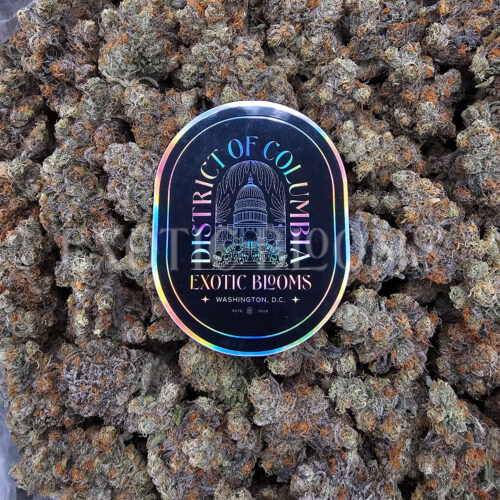 Exotic Blooms RVA Weed Delivery – Richmond & RVA Cannabis Dispensary ...