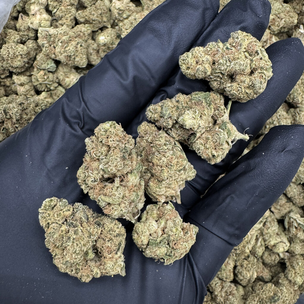 Poon Tang Pie Smalls Oz Deal – Exotic Blooms RVA Weed Delivery ...