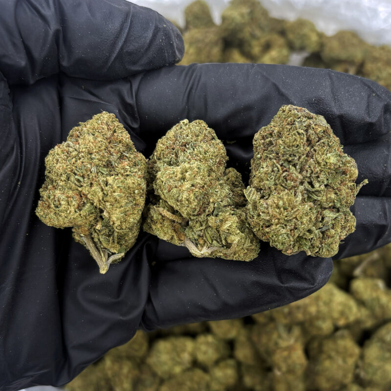 Thin Mints GSC Oz Deal – Exotic Blooms RVA Weed Delivery – Richmond ...