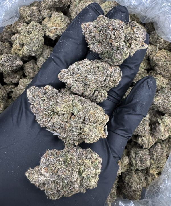 Pink Picasso Exclusive – Exotic Blooms RVA Weed Delivery – Richmond ...