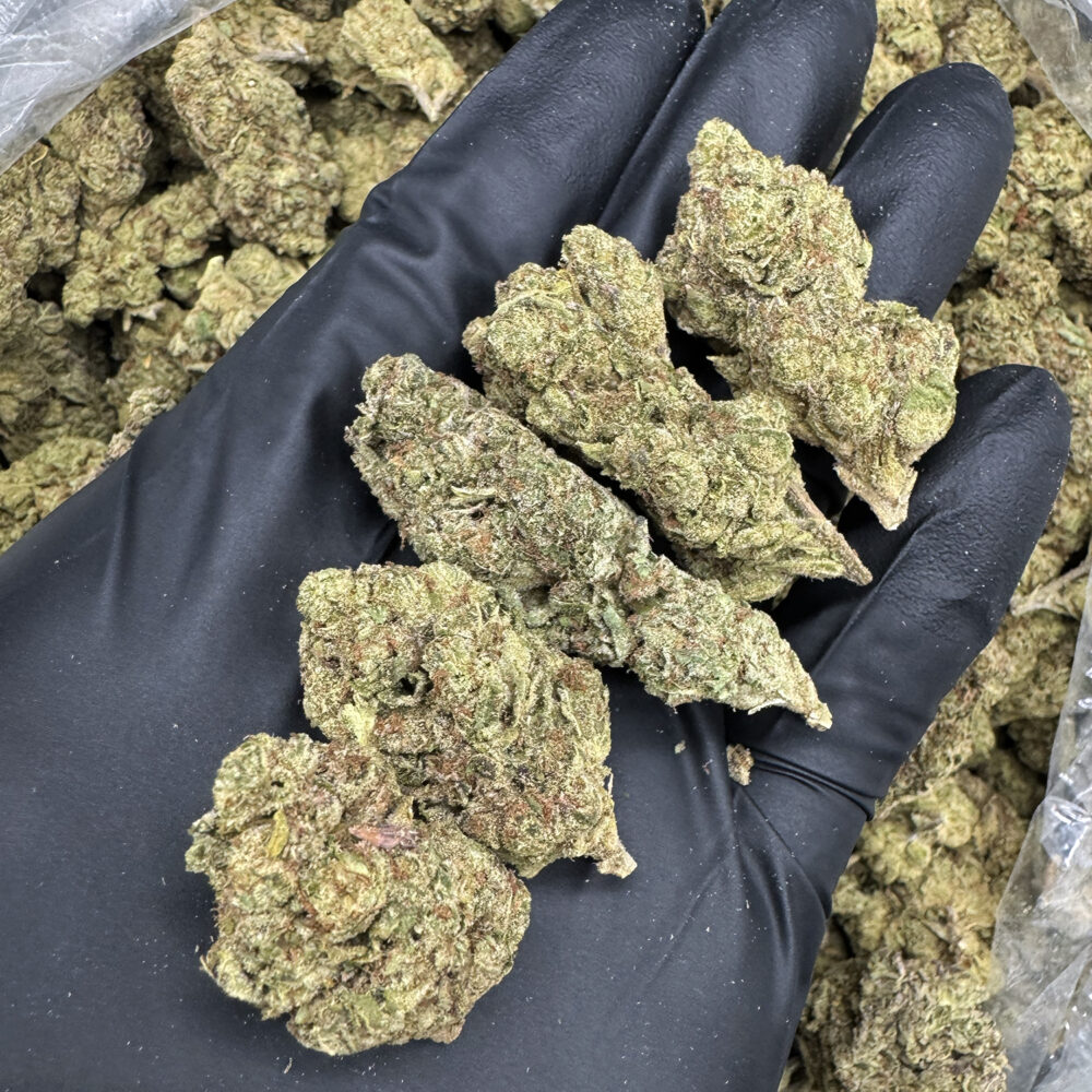 Stardawg Oz Deal – Exotic Blooms RVA Weed Delivery – Richmond & RVA ...